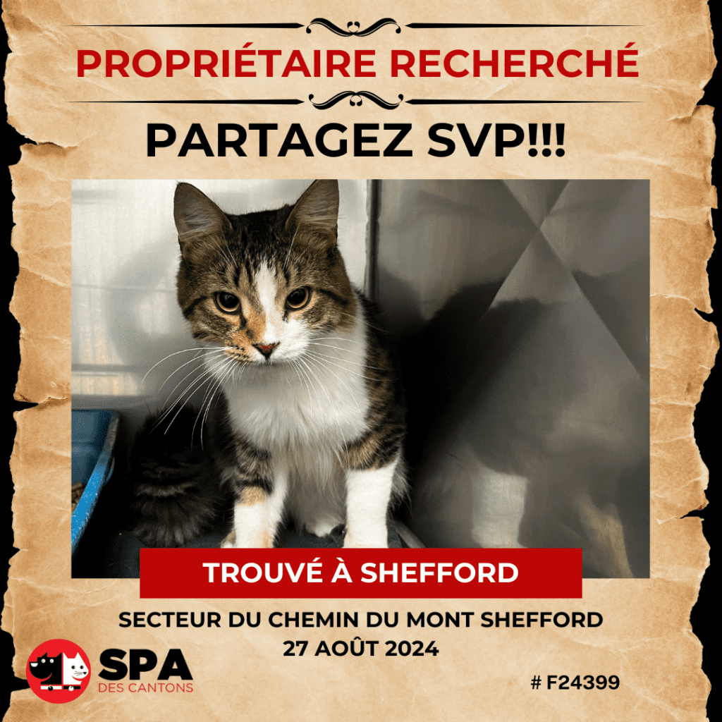 Animaux perdus / trouvés - SPA des Cantons