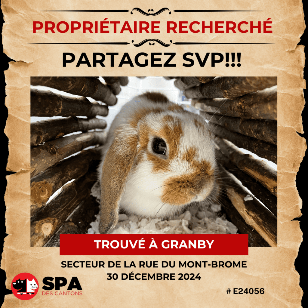 Animaux perdus / trouvés - SPA des Cantons