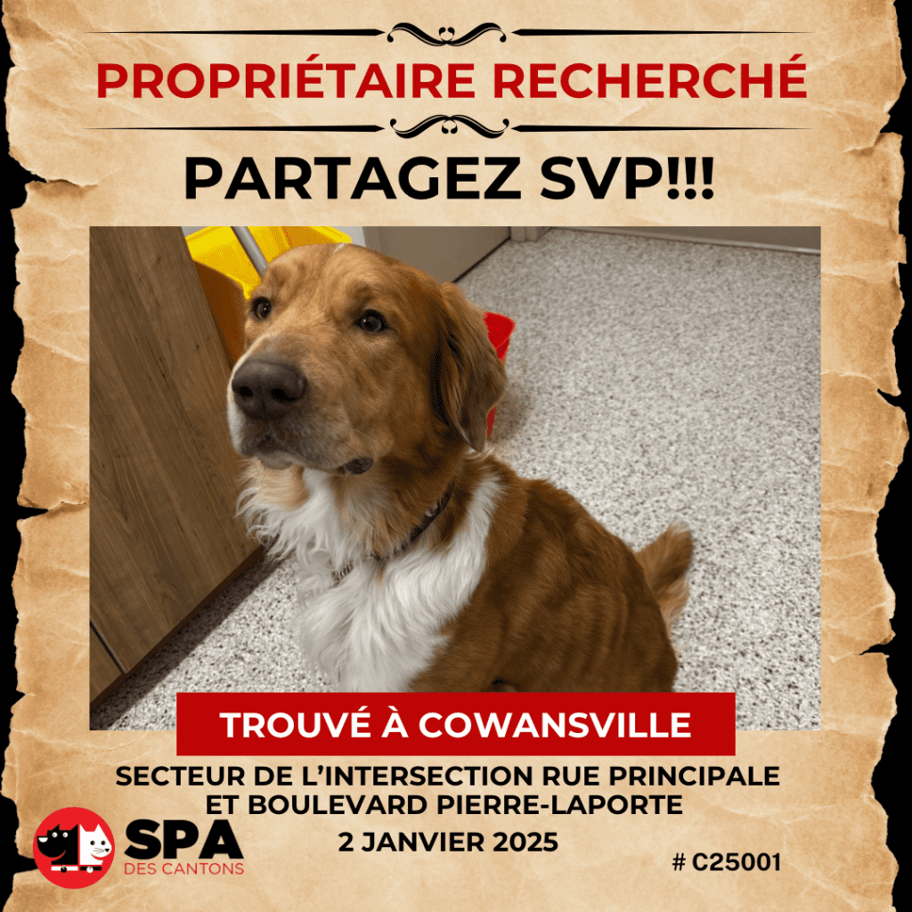 Animaux perdus / trouvés - SPA des Cantons